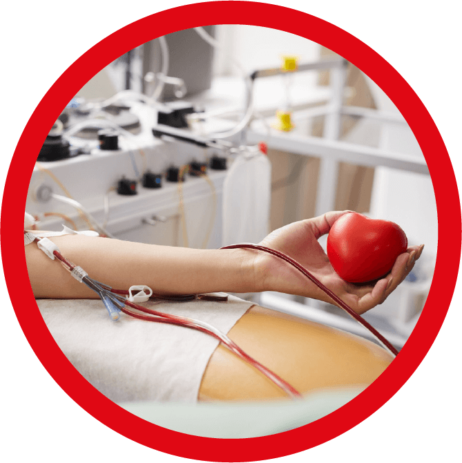 Inicio - Laboratorio Lopez