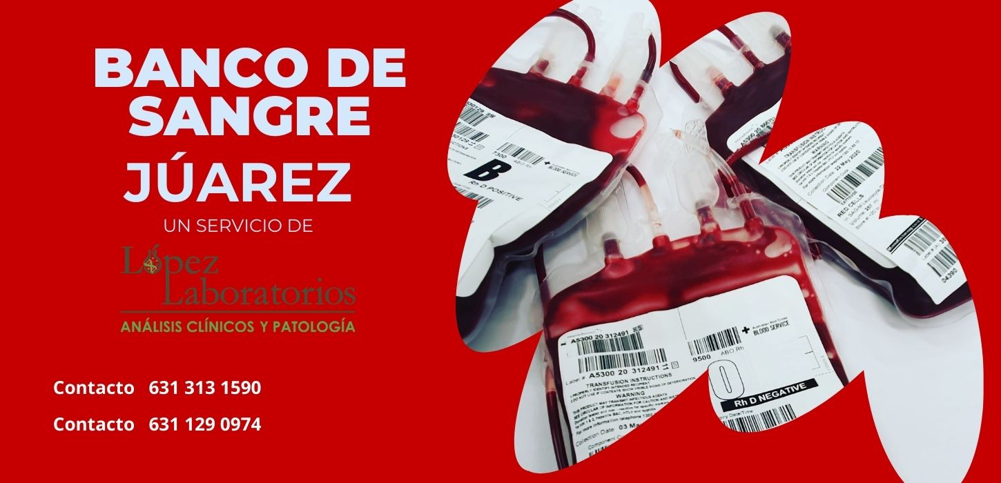 Inicio - Laboratorio Lopez