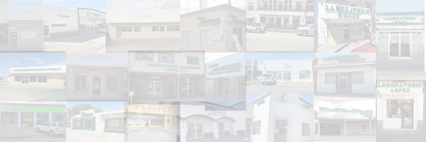 Inicio - Laboratorio Lopez