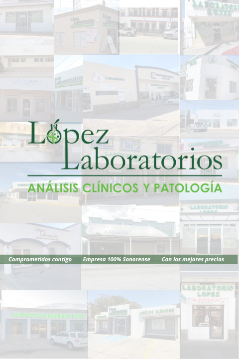 Inicio - Laboratorio Lopez