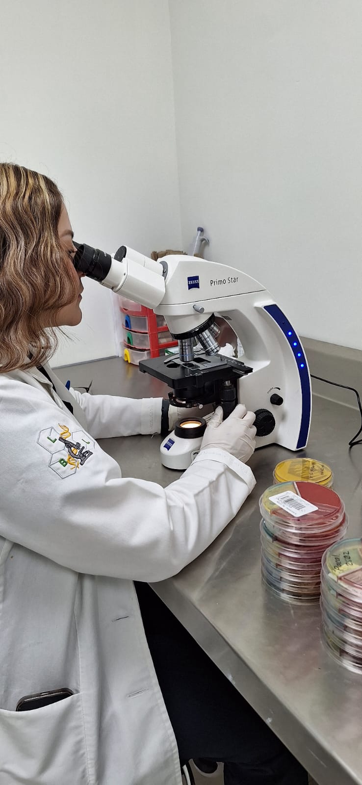 Inicio - Laboratorio Lopez